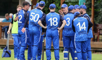 Cricket Leinster